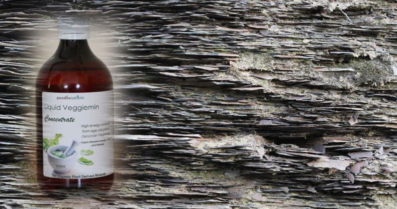 Organic Colloidal Minerals - Liquid VeggieMin Concentrate